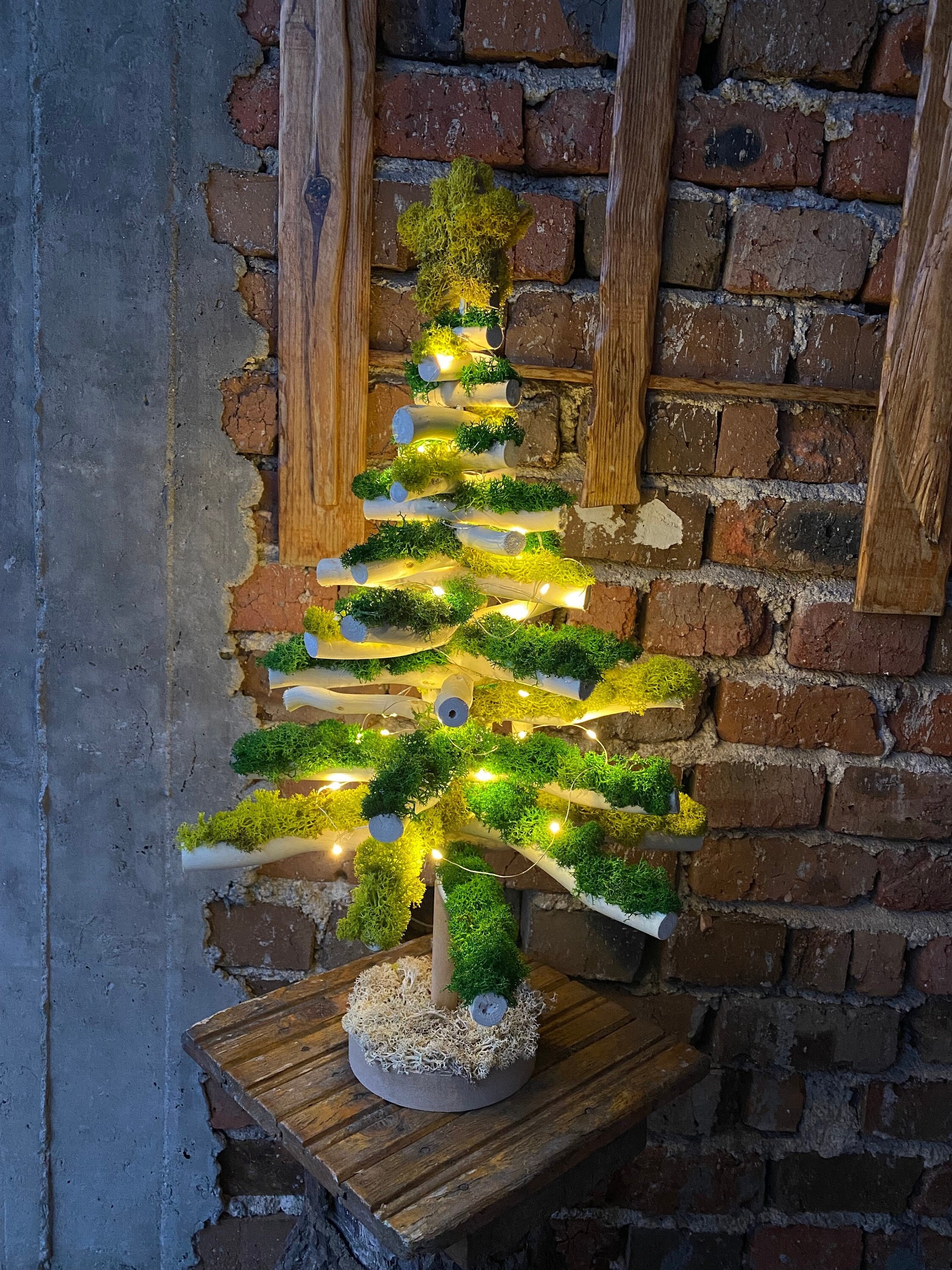 Preseved Moss Tabletop Christmas Tree With LED Light, Minimal Care Live ...