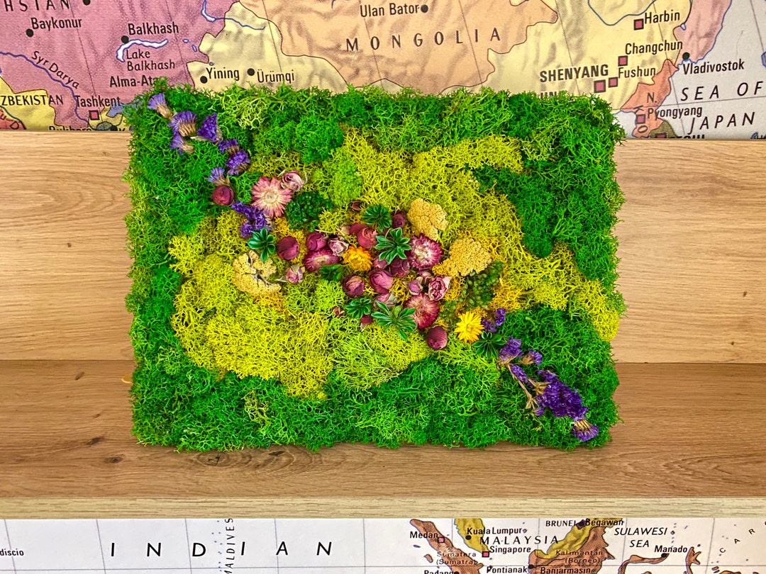Colorful Carpet Forest Frame Scandinavian Moss Natural Green Flower ...