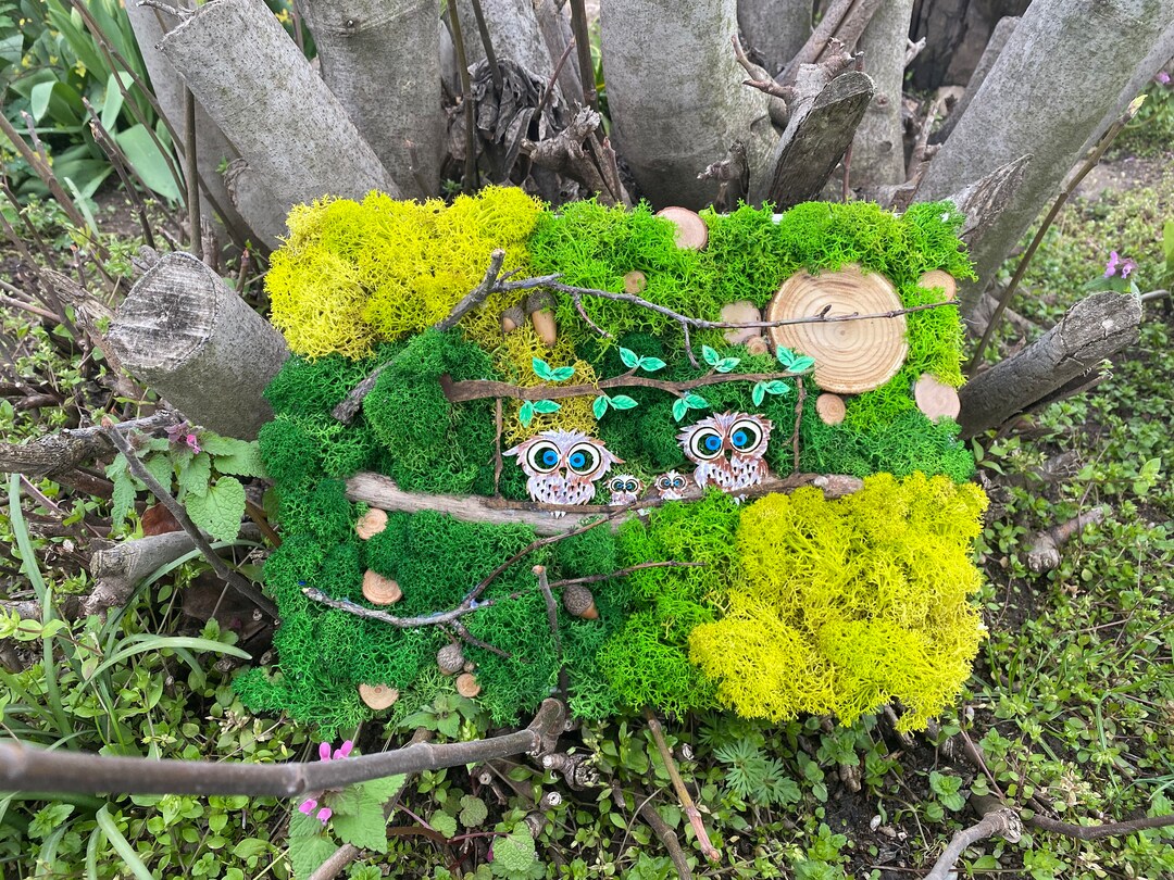 Wood Owls Frame Scandinavian Moss Forest Green Gift Art Design Minimal ...