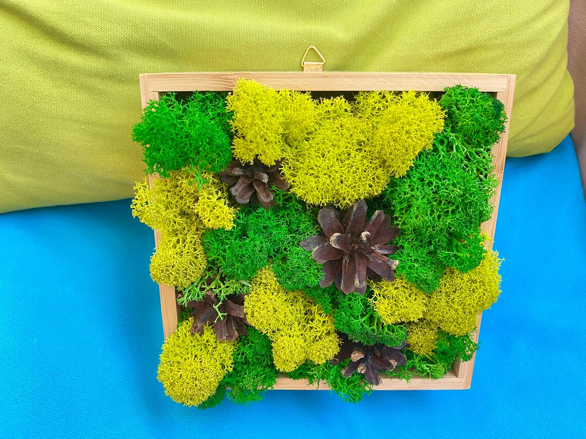 Nature Inspired Table Decor - Indoor Garden Preserved Moss Display Box ...