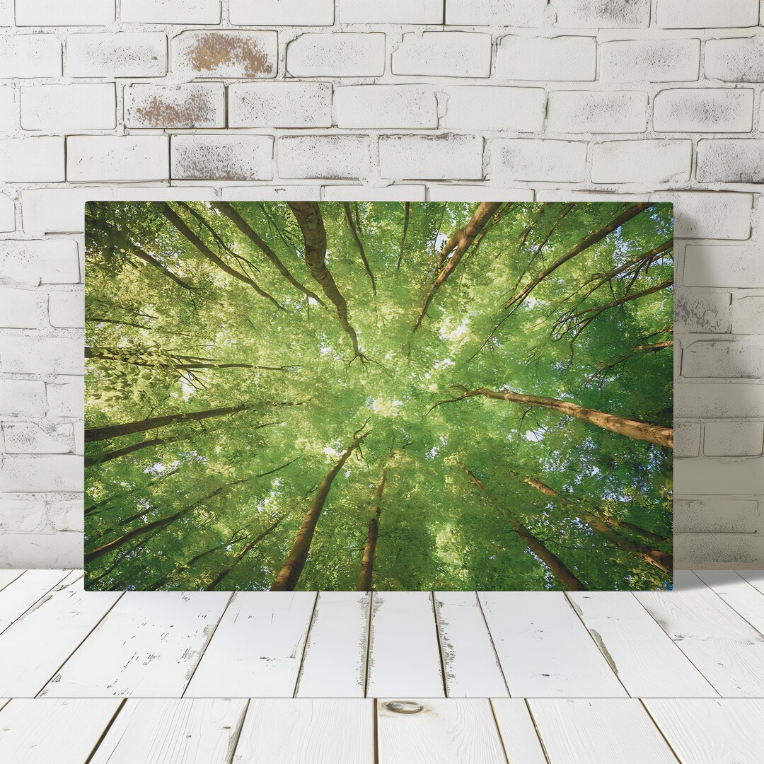 View of Tree Forest Canopy, Landscape of Green, Nature Digital Print ...