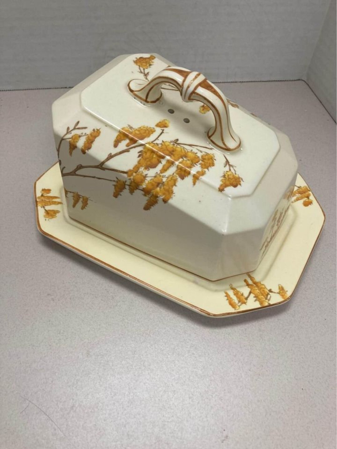 Vintage Wedge Cheese Holder Vintage 1912-1936 Beautiful Condition ...