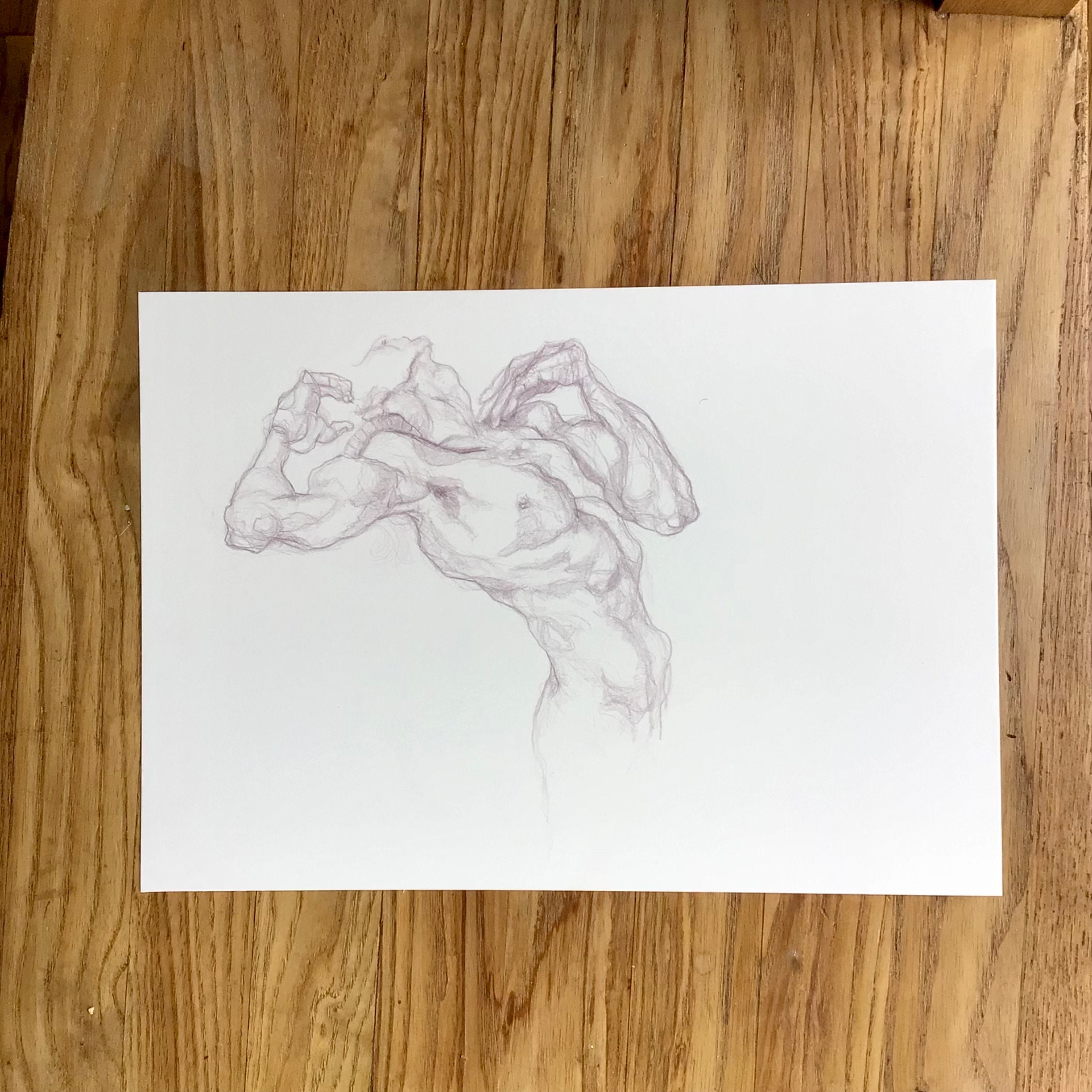 Waterboy. Original Coloured Pencil Figure Drawing of Male Torso ...