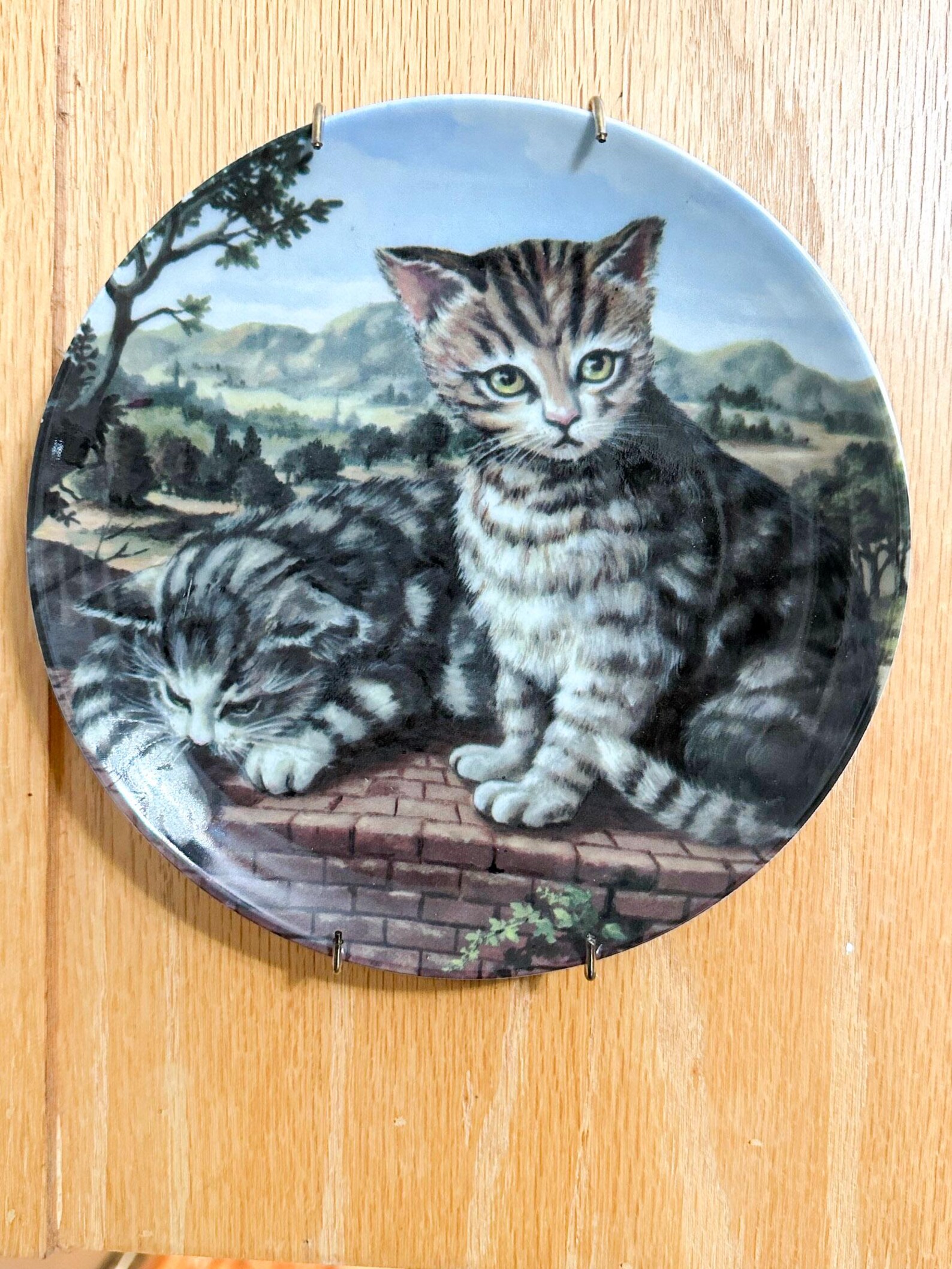 Vintage Cat Plate, Wall Decor, Plaque, 8 - Etsy