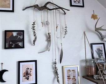 Animal Bone Wall Hanging, Natural Organic Wall Decor, Animal Bone Art ...