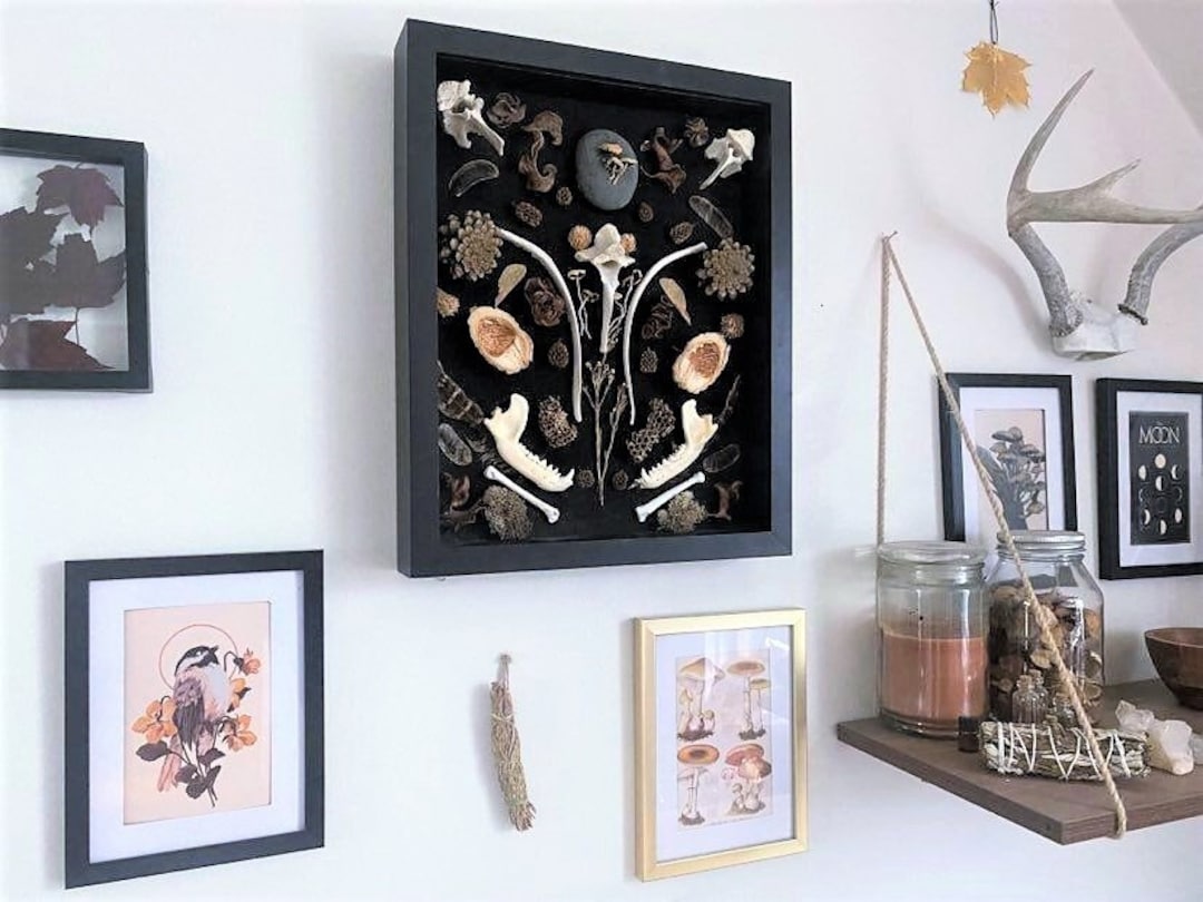 Animal Bones Decor, Shadowbox, Animal Bones Art, Forest Shadow Box ...