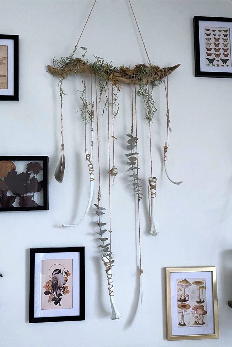 Animal Bone Wall Hanging, Natural Organic Wall Decor, Animal Bone Art ...