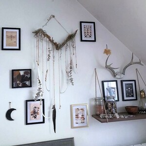 Animal Bone Wall Hanging, Natural Organic Wall Decor, Animal Bone Art ...