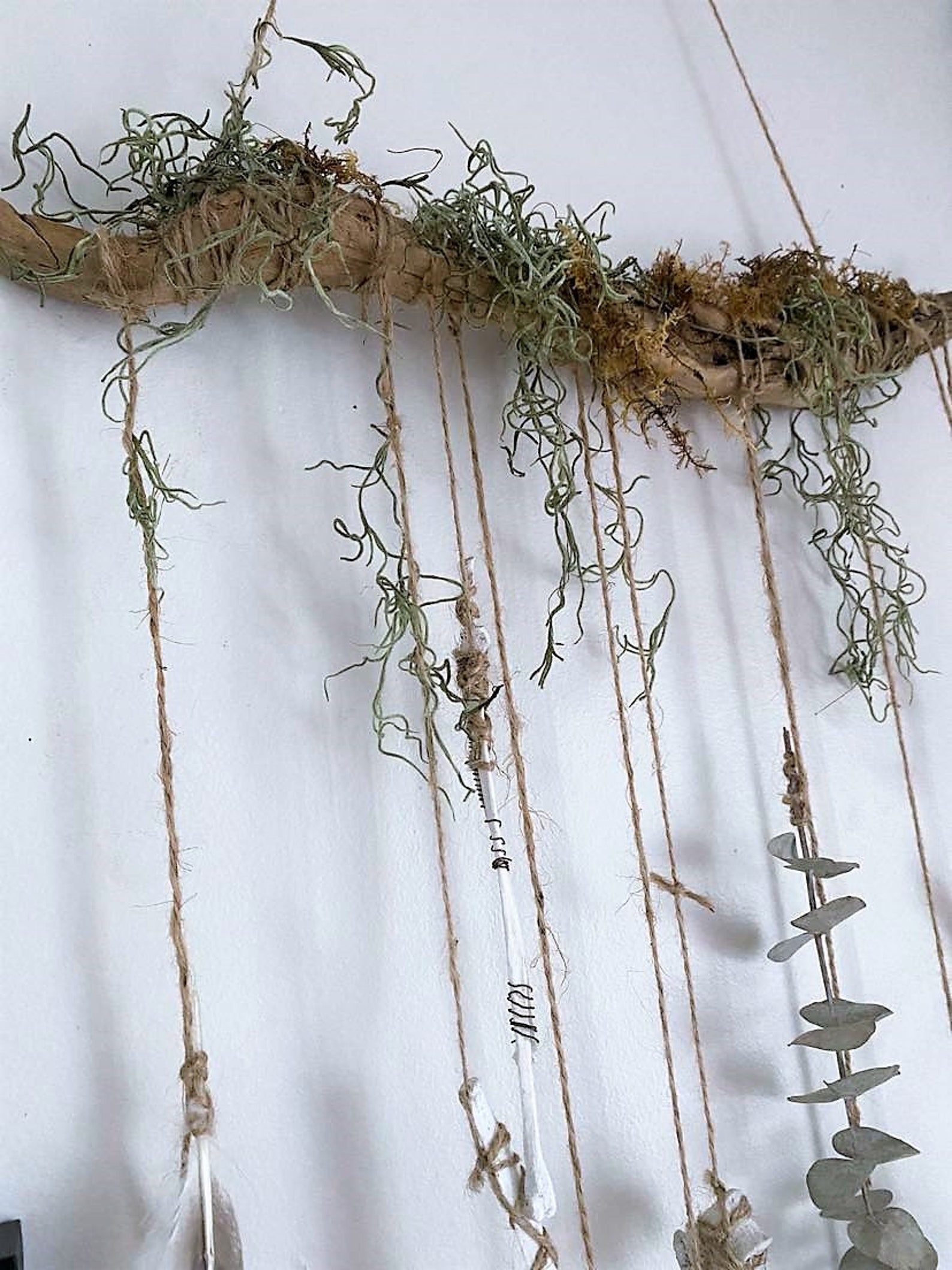 Animal Bone Wall Hanging, Natural Organic Wall Decor, Animal Bone Art ...