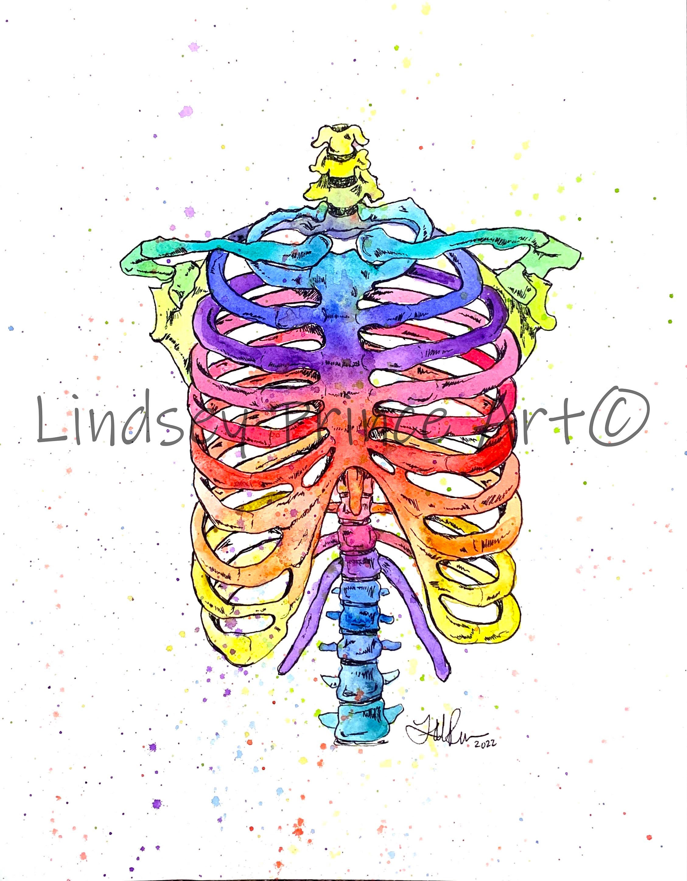 Skeletal Series: Rib Cage Torso, Skeletal Art, Skeleton Watercolor ...