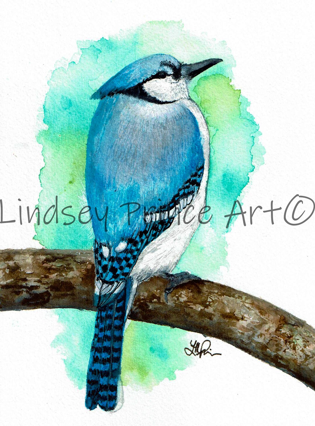 Blue Jay Watercolor Painting Art Print Blue Bird Painting - Etsy