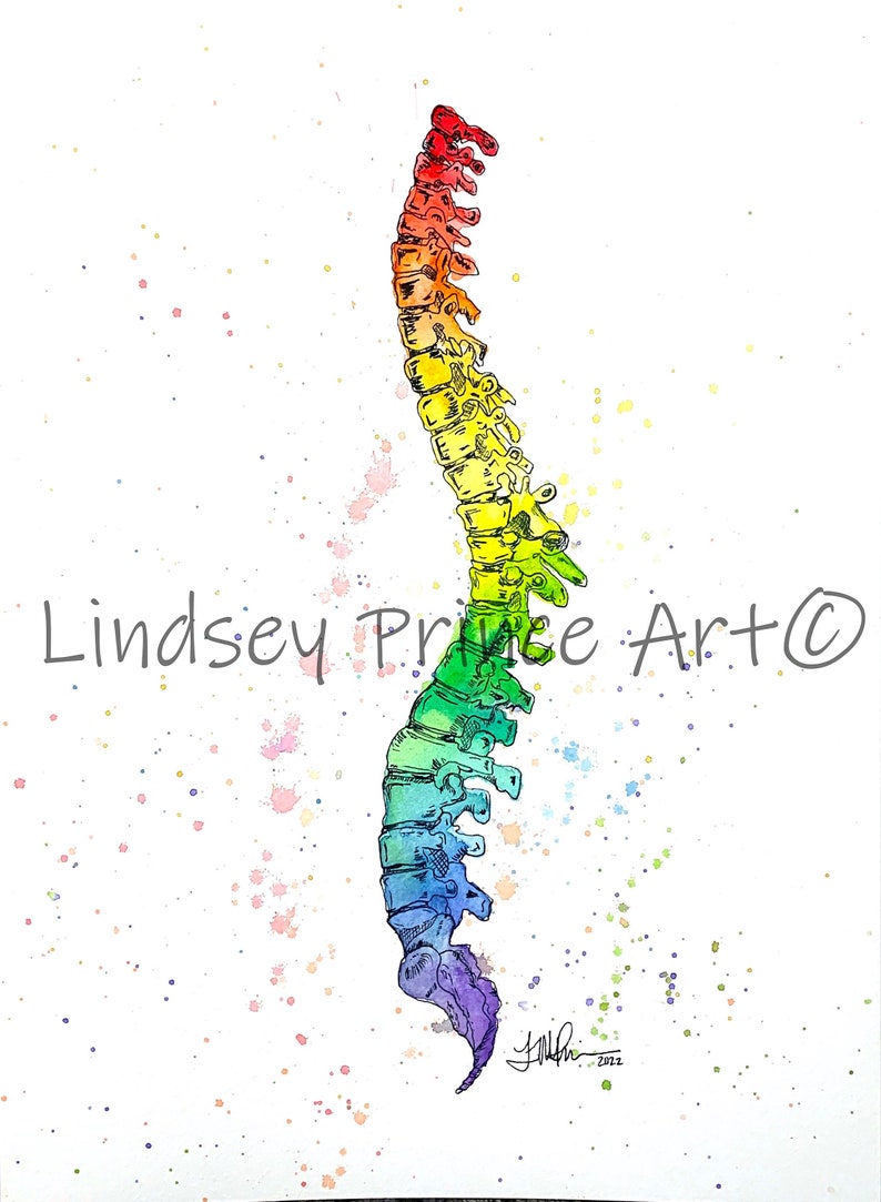 Rainbow Spine Watercolor Art Print: Skeletal Anatomy - Etsy