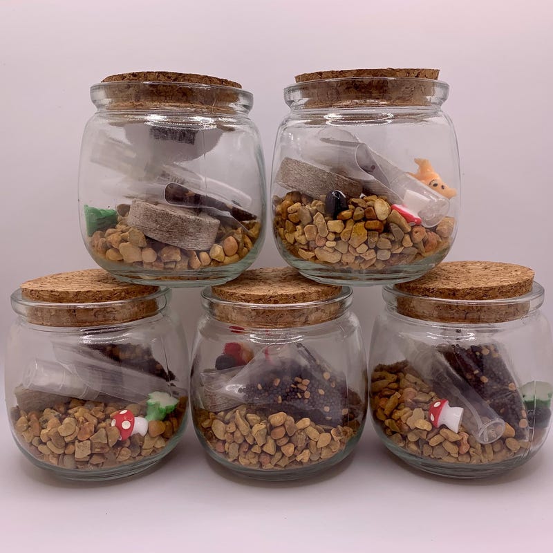 Terrarium Kit - Etsy