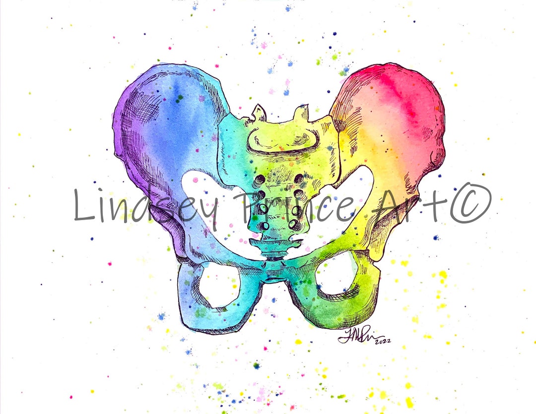 Skeletal Series: Pelvis, Pelvis Art Print, Pelvic Art, Obstetrician Art ...
