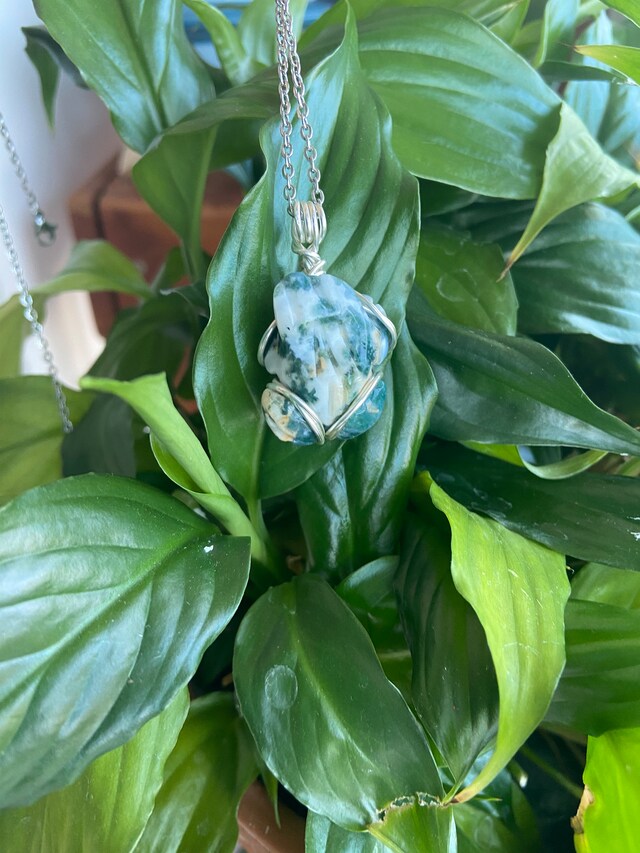 SnapdragonSoapworks - Etsy Canada