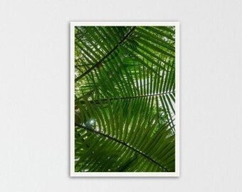 A3 Leaf Poster - Etsy
