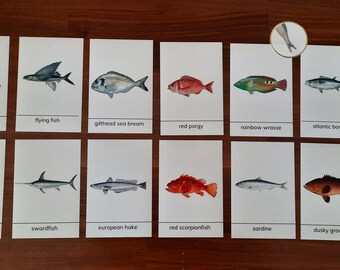 Tropical Fish Nature Guide - Etsy