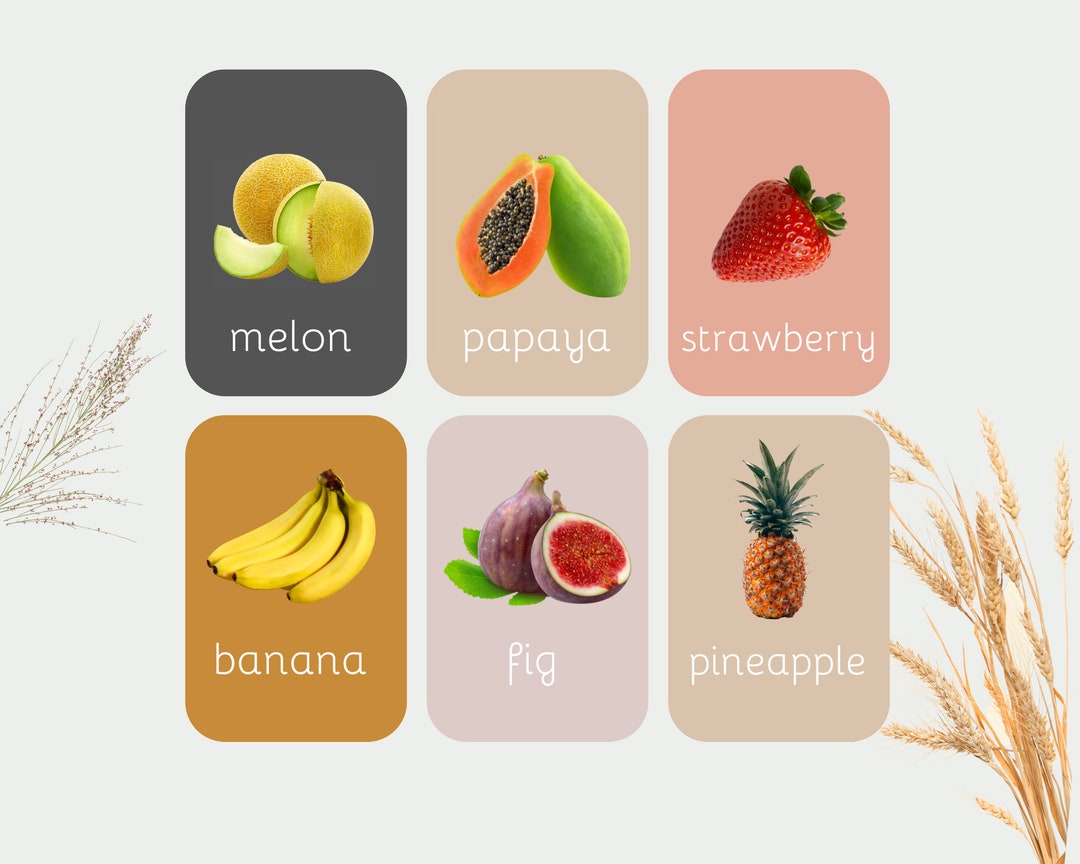FRUITS real Pictures 48 Montessori Cards Flash Cards - Etsy Australia