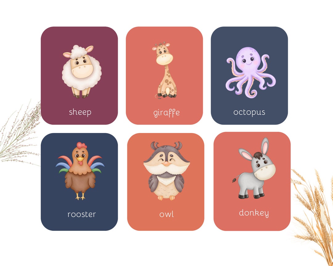 ANIMALS very Cute Pictures 36 Montessori Cards Flash Cards Nomenclature ...