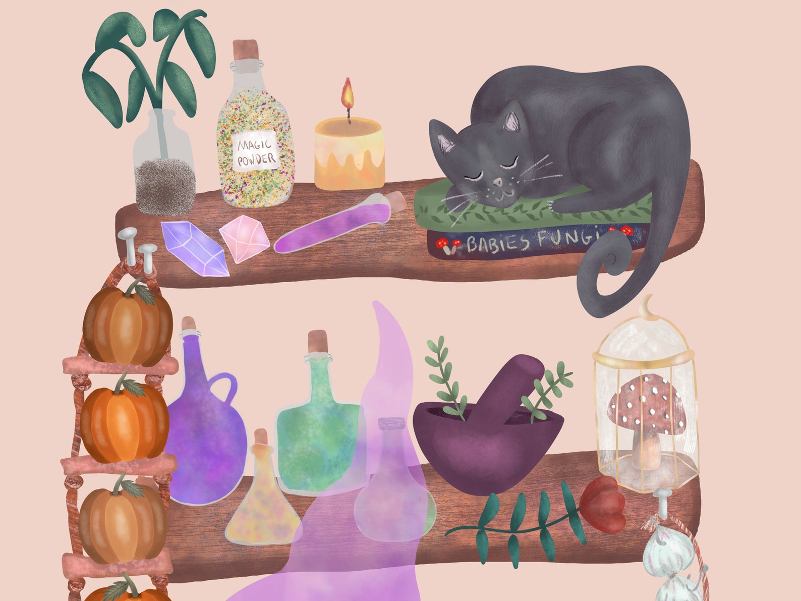 PRINTABLE Potion Shelf Pantry Shelves Pantry Inventory - Etsy