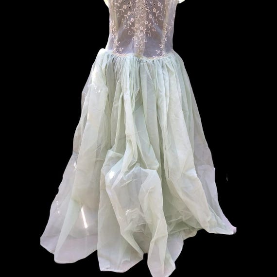 1950s Sheer Full Skirted Gown - Gem