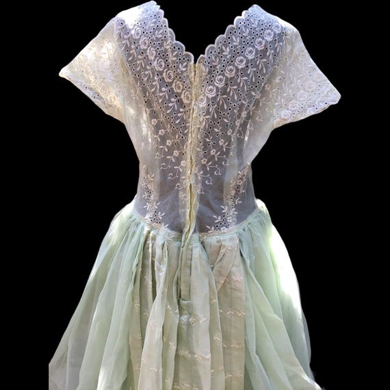 1950s Sheer Full Skirted Gown - Gem
