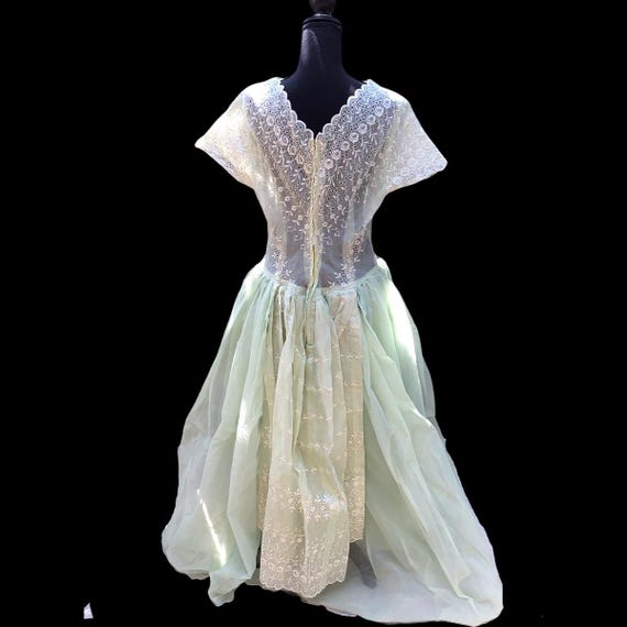 1950s Sheer Full Skirted Gown - Gem