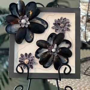Mussel Shells - Etsy