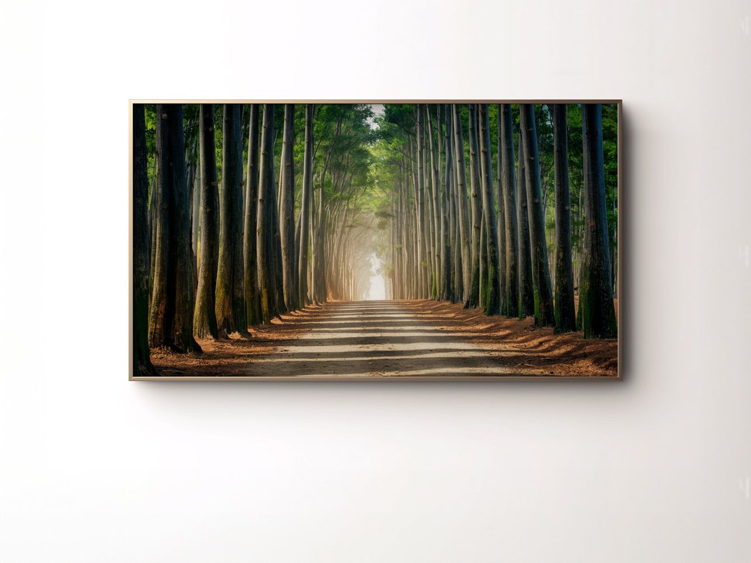 Redwood Road Frame TV Art, Nature Art TV Decor, Scenic Tv Screensaver ...
