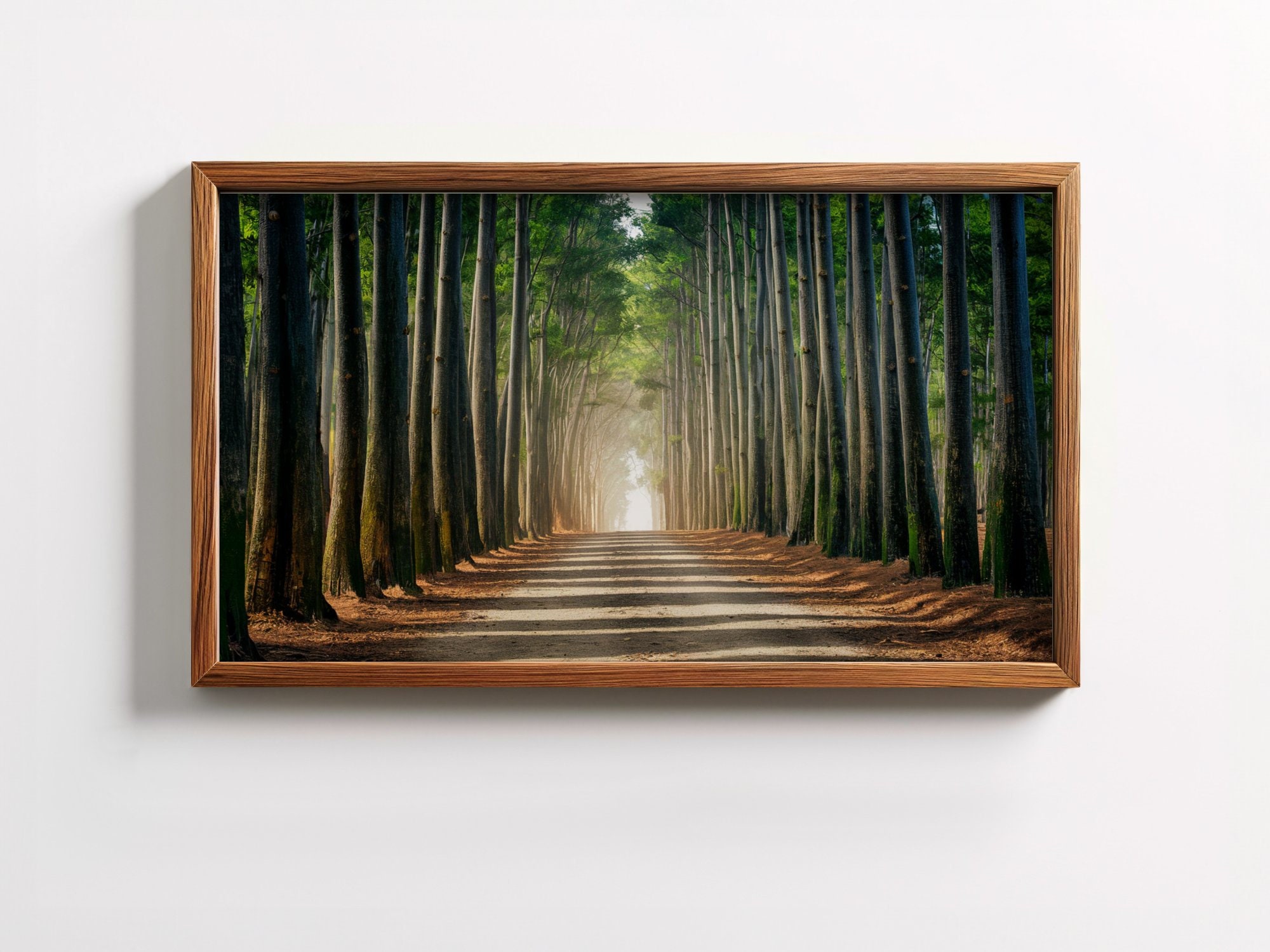 Redwood Road Frame TV Art, Nature Art TV Decor, Scenic Tv Screensaver ...