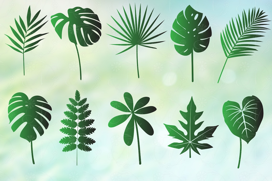 Foglie tropicali SVG fascio foglie svg foglie tropicali 10 - Etsy Italia