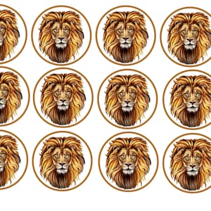 Lion Art Printed Cake Topper - Etsy