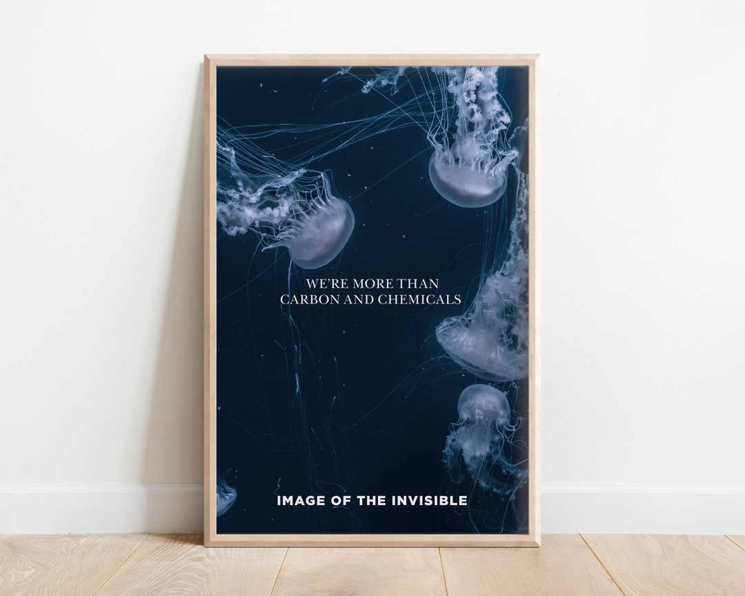 Thrice - Image of the Invisible | Matte Vertical Poster | 12"x18" | 16 ...