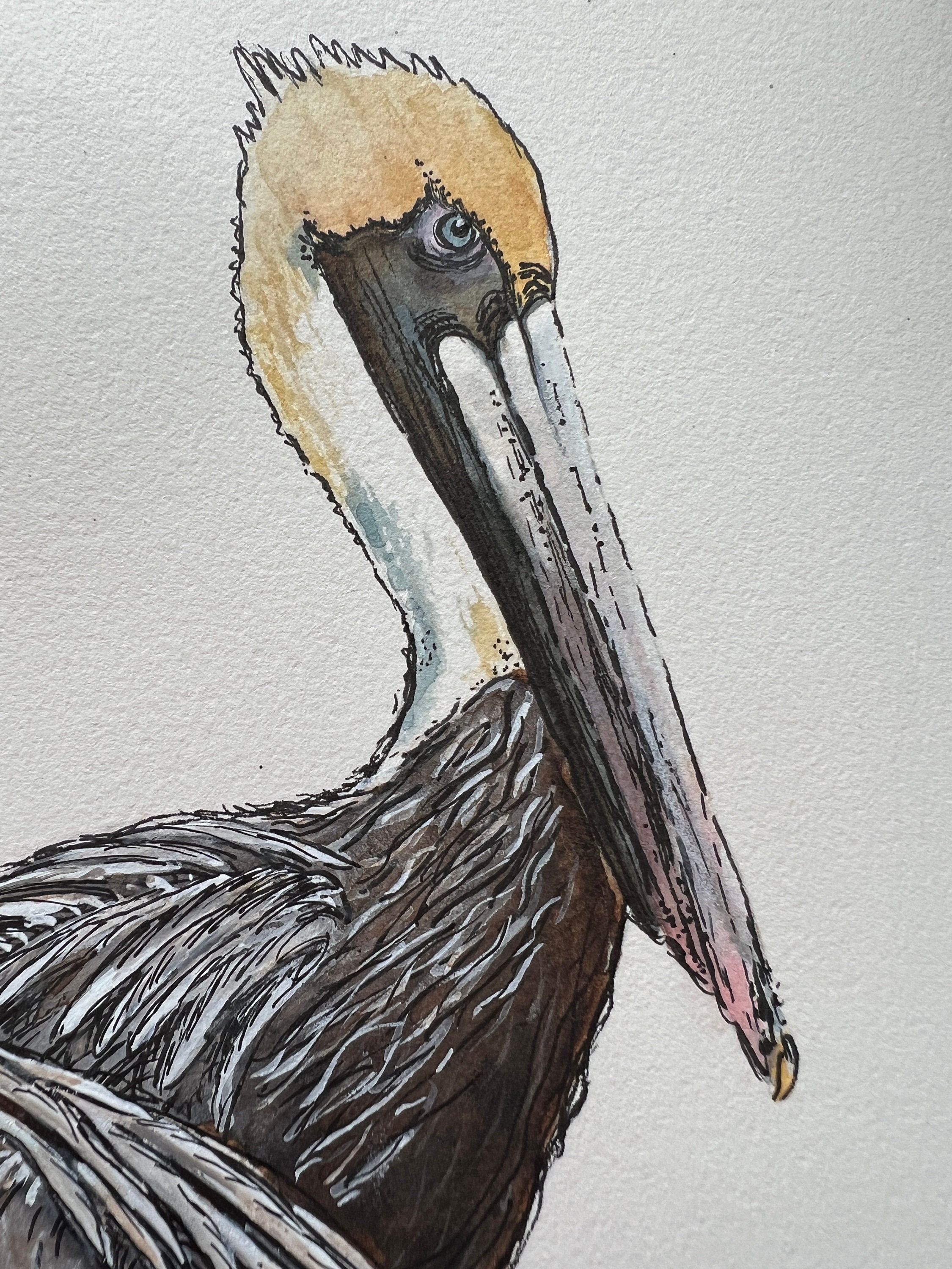 Pelican's in A Row, Original Fine Art Watercolor With Ink Painting ...