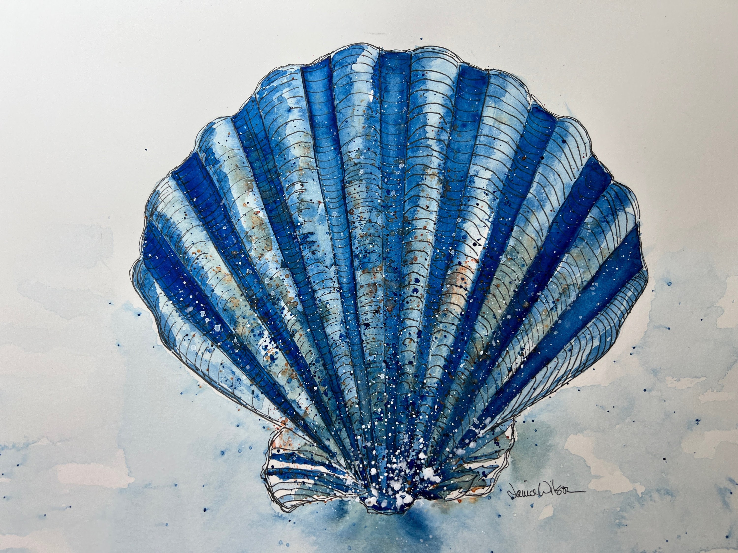 Blue Scallop Shell, Giclee Print of Original Watercolor Painting, Rare ...