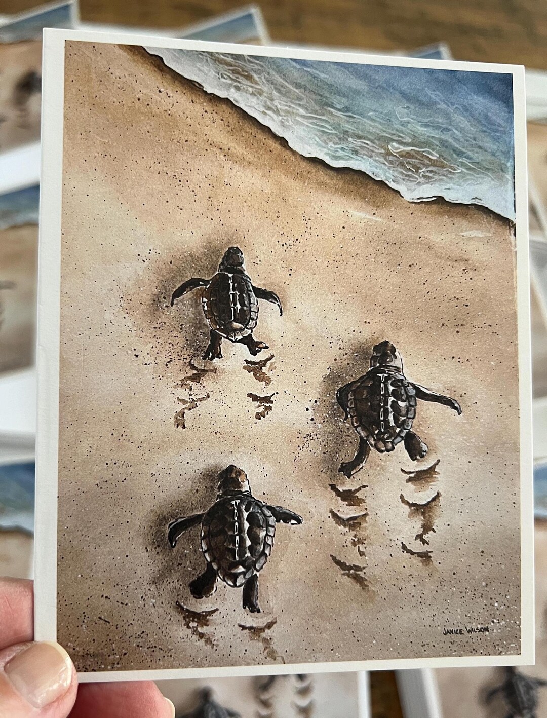 Greeting Card, Note Card, Baby Turtles, Blank Inside, Set of 10 - Etsy