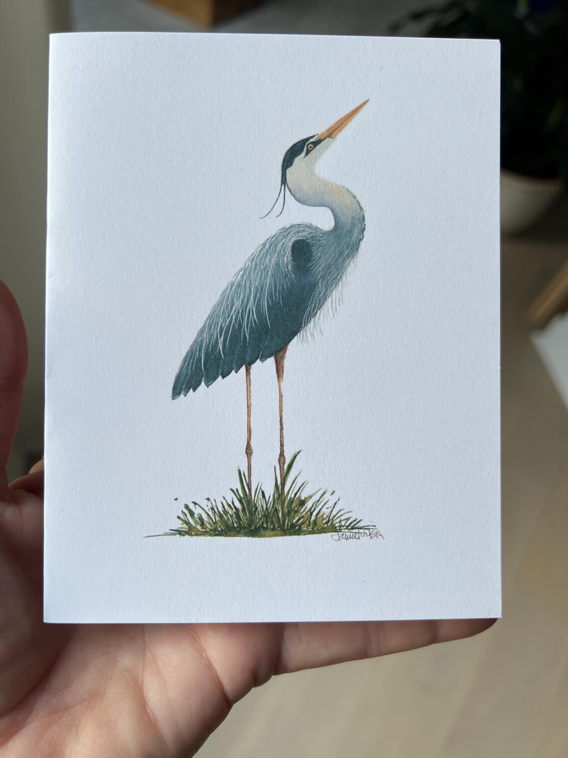 Note Card, Great Blue Heron, Blank Inside, Set of 10 - Etsy