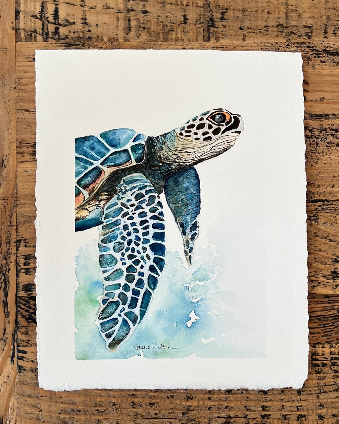 Toby, Loggerhead Sea Turtle, Giclee Print of Original Fine Art ...