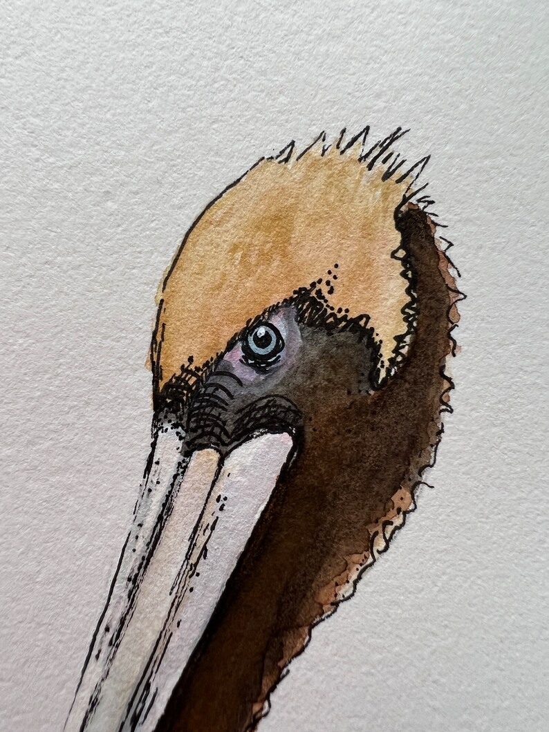 Pelican's in A Row, Original Fine Art Watercolor With Ink Painting ...