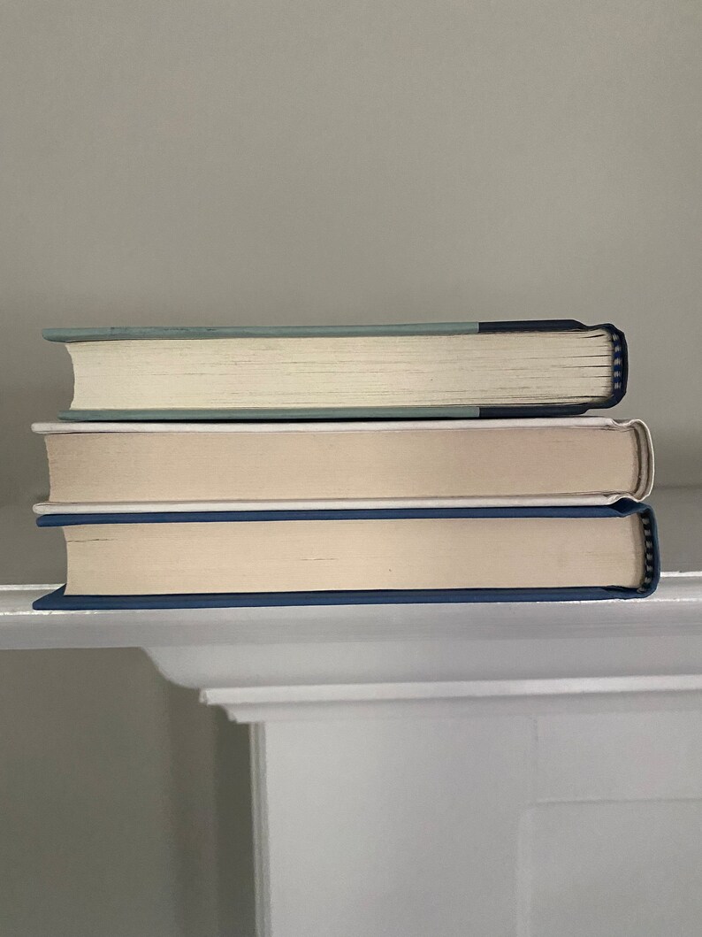 Book Stack Blue and White Book Trio/set Book Staging Book - Etsy