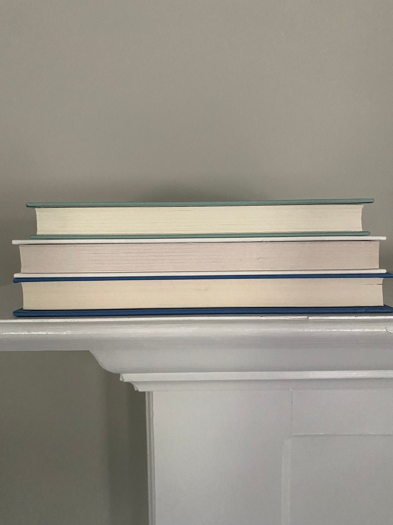 Book Stack Blue and White Book Trio/set Book Staging Book - Etsy