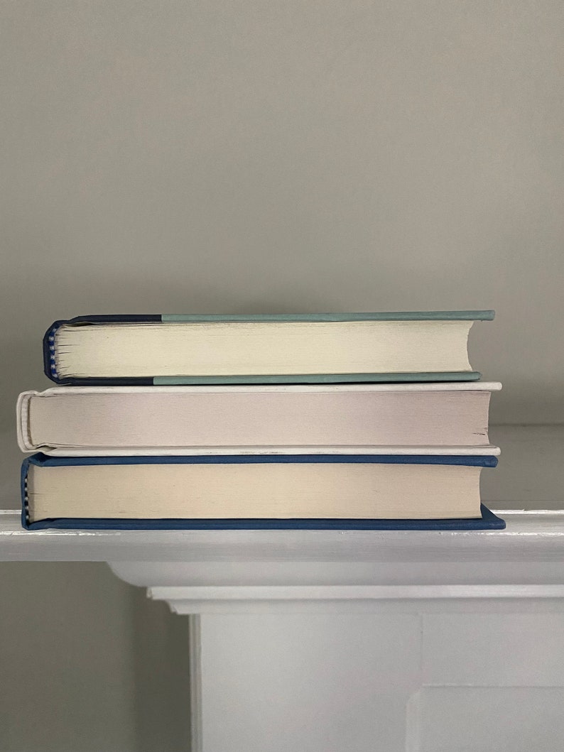 Book Stack Blue and White Book Trio/set Book Staging Book - Etsy