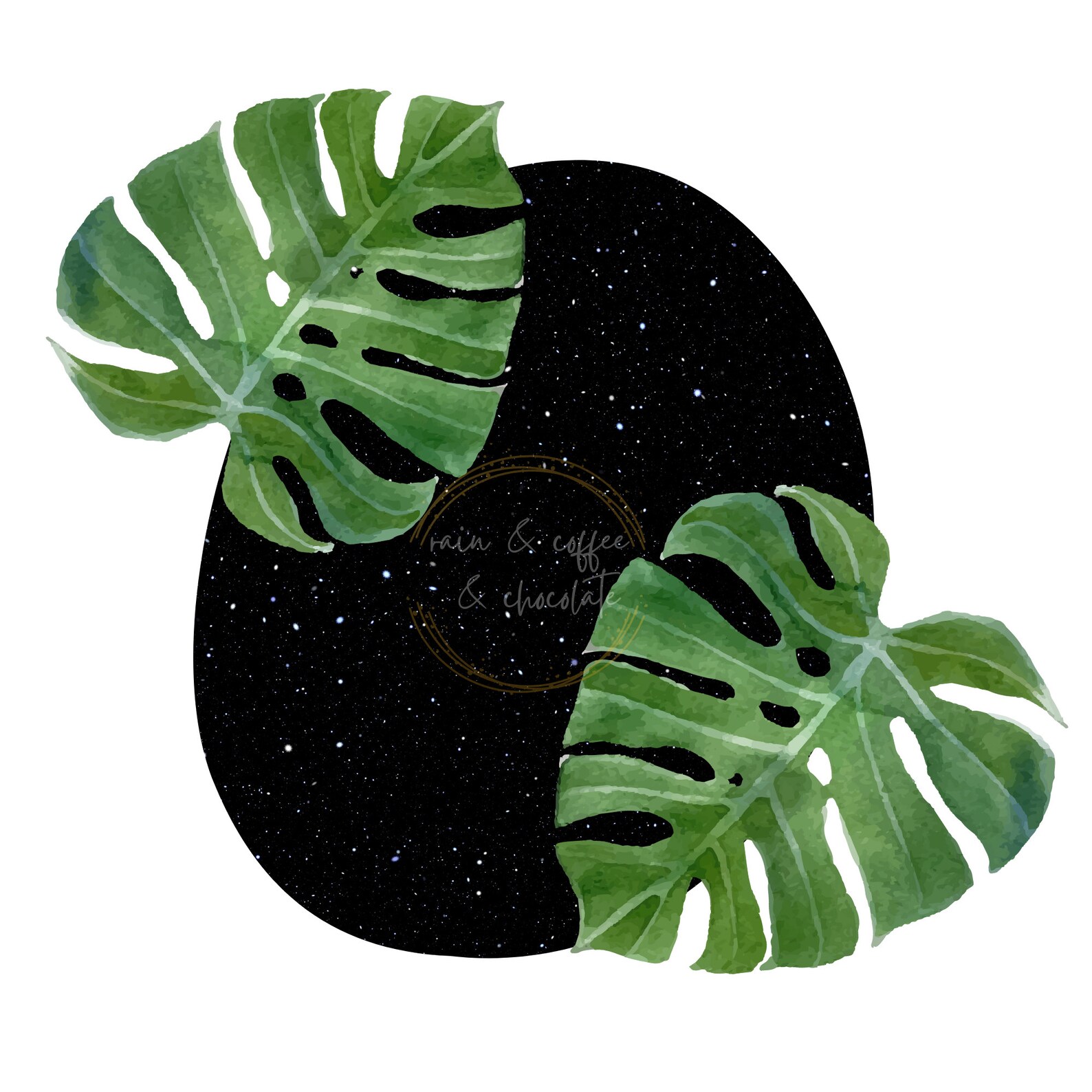 Monstera Deliciosa, Variegated Monstera, Philodendron, & Space | Set of ...