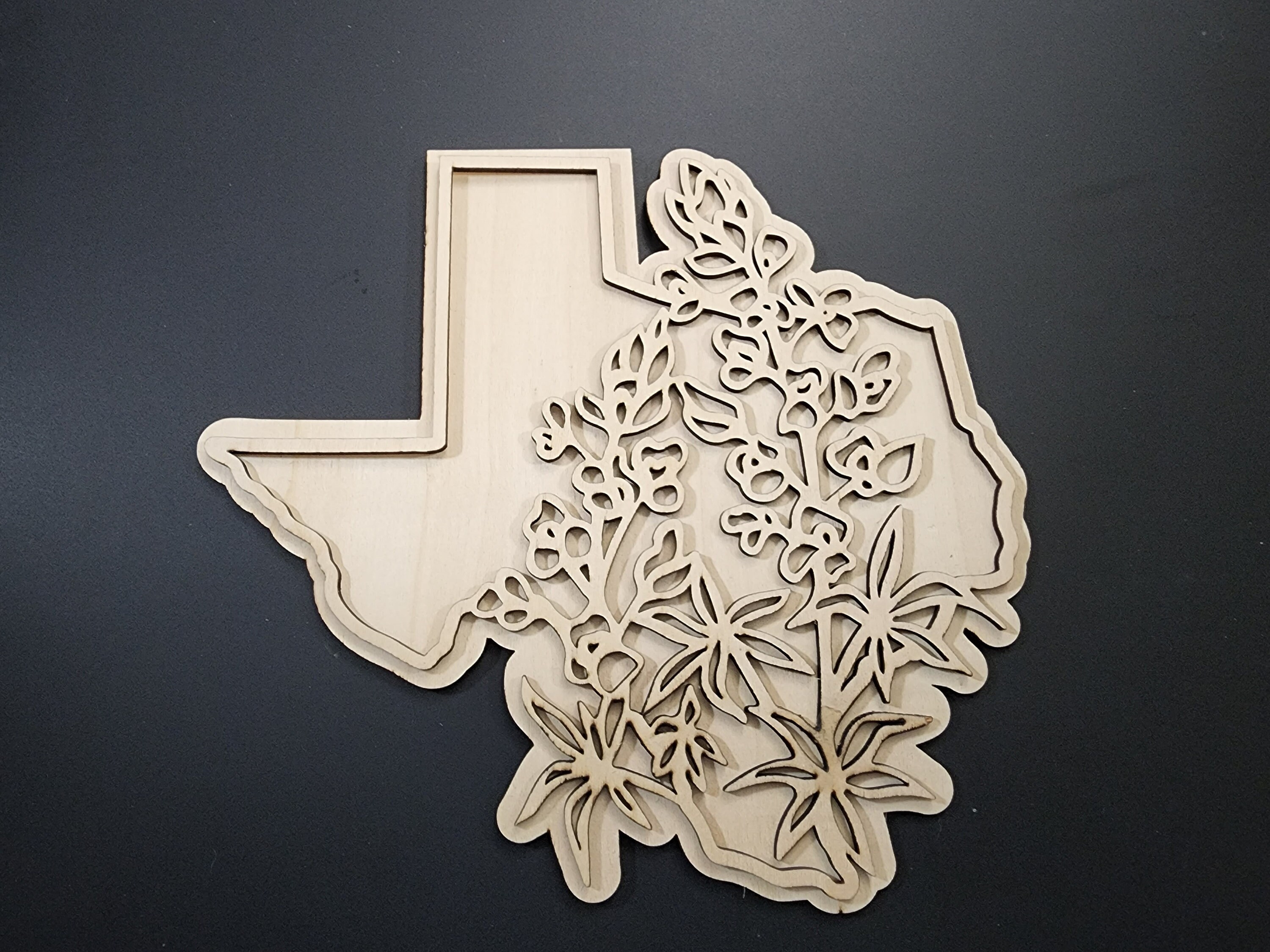 All States Available Texas Bluebonnets Wall/desk Art Laser Cut-out - Etsy