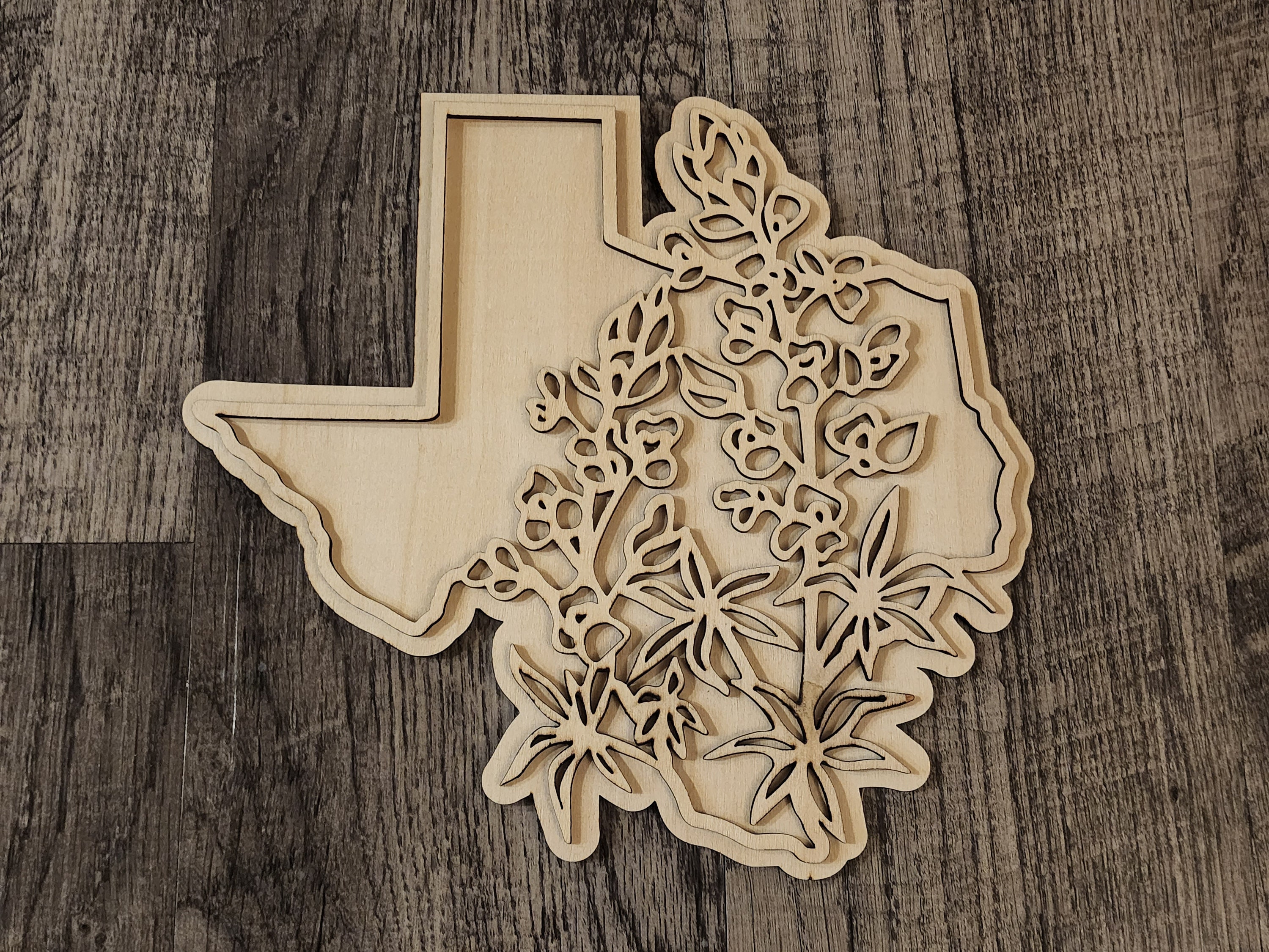 All States Available Texas Bluebonnets Wall/desk Art Laser Cut-out - Etsy