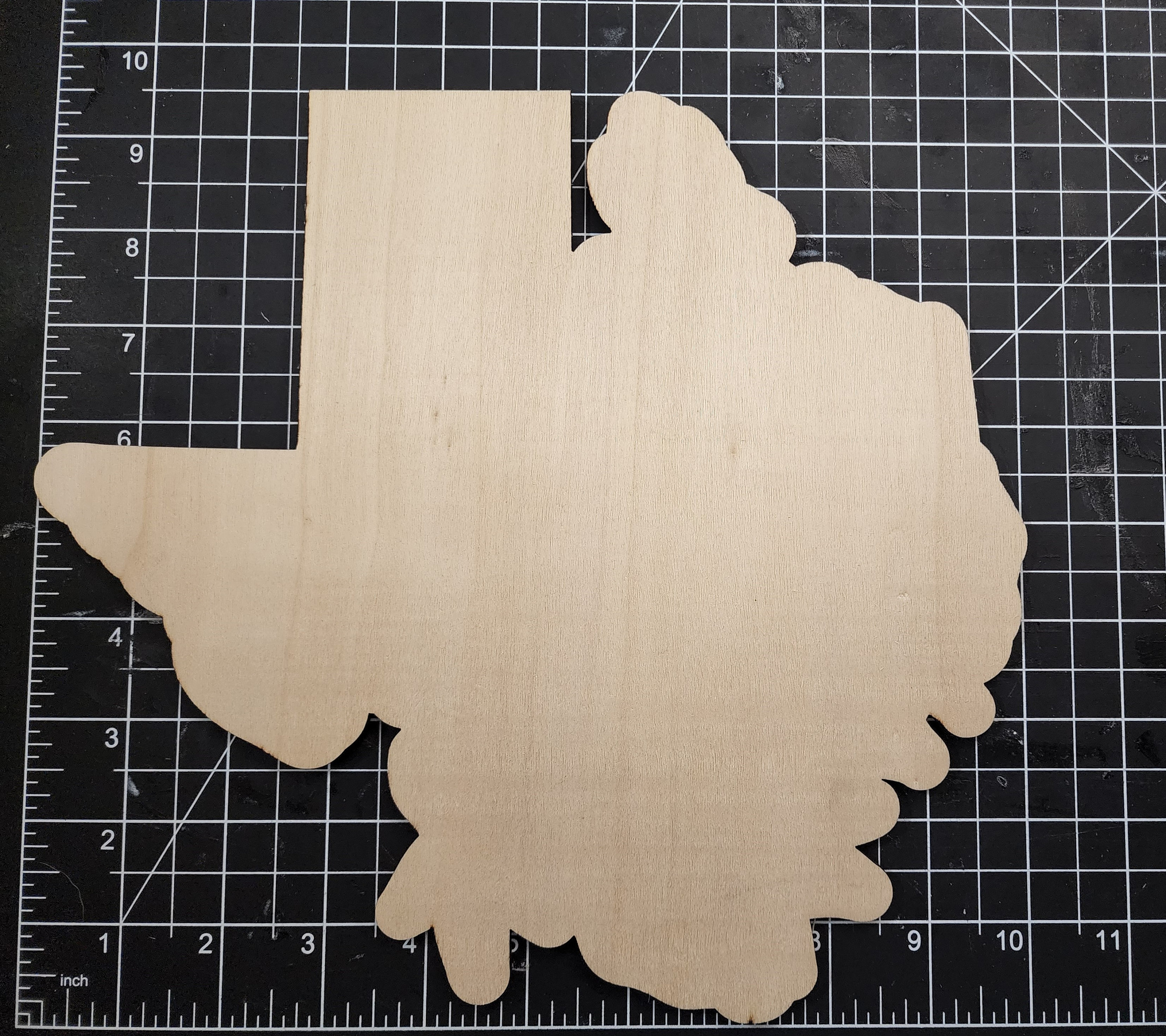 All States Available Texas Bluebonnets Wall/desk Art Laser Cut-out - Etsy