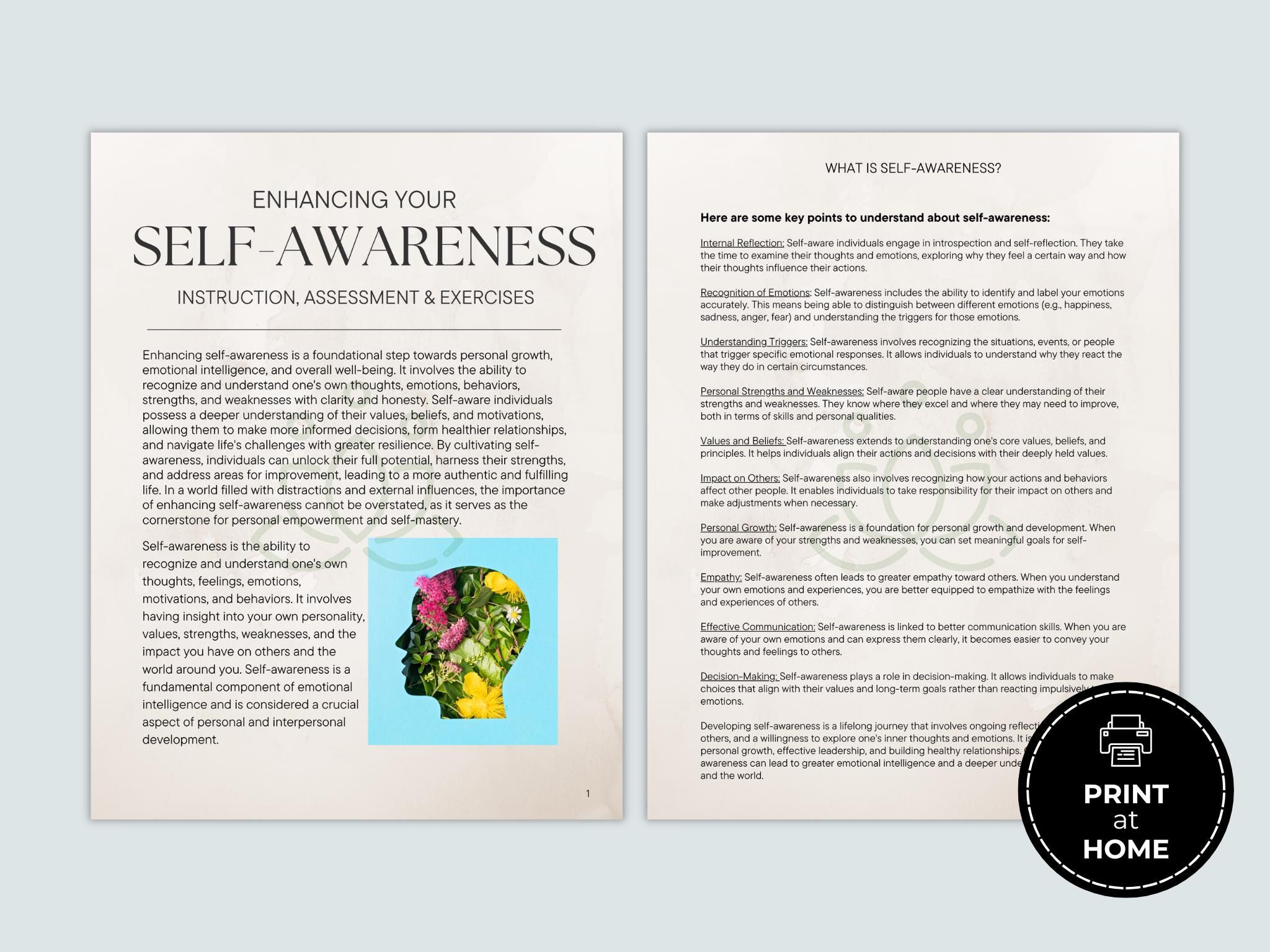 Self-awareness Mastery Emotional Intelligence Workbook Coaching ...