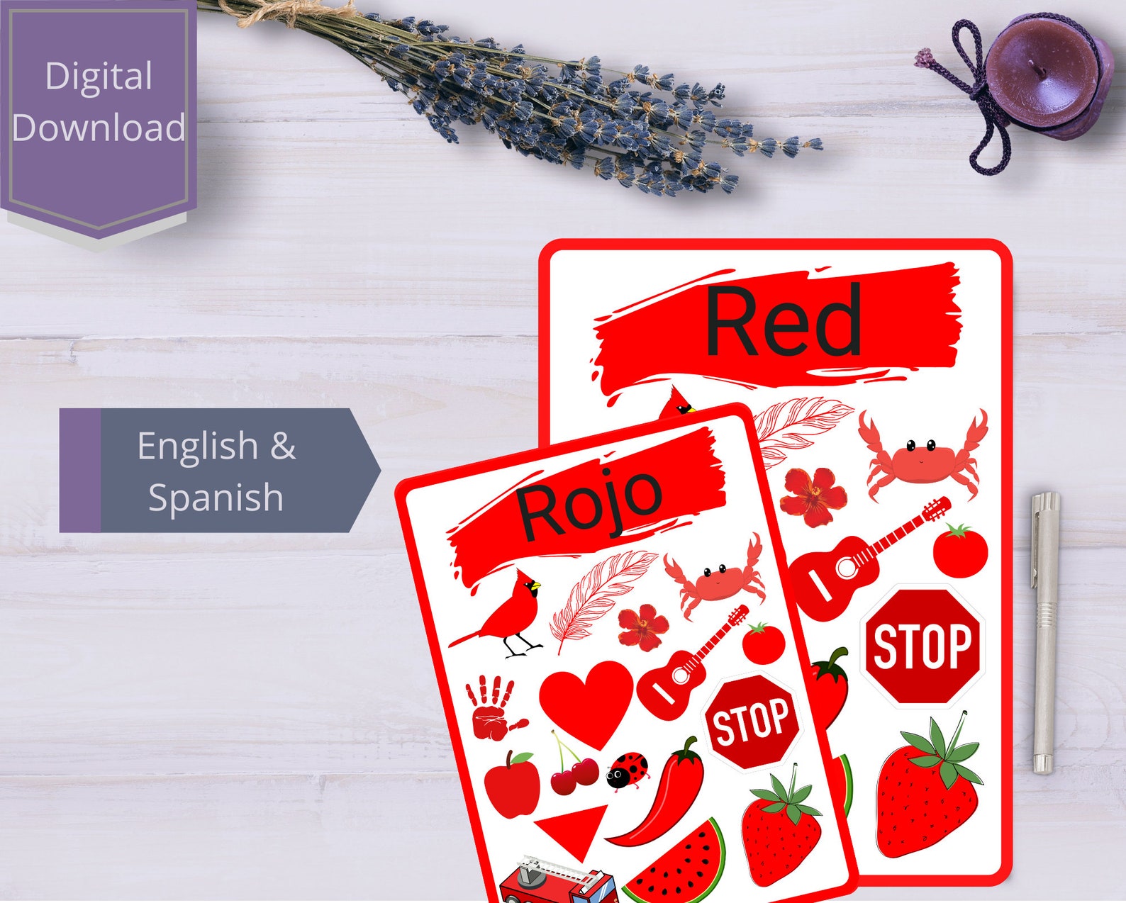 Color Flashcards, English and Spanish, Preschool Toddler - Etsy