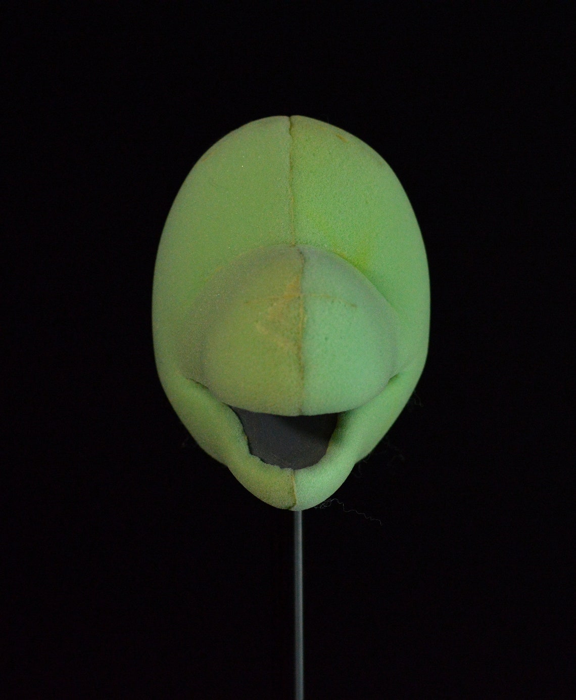 Animal Foam Puppet Head Pattern PDF - Etsy