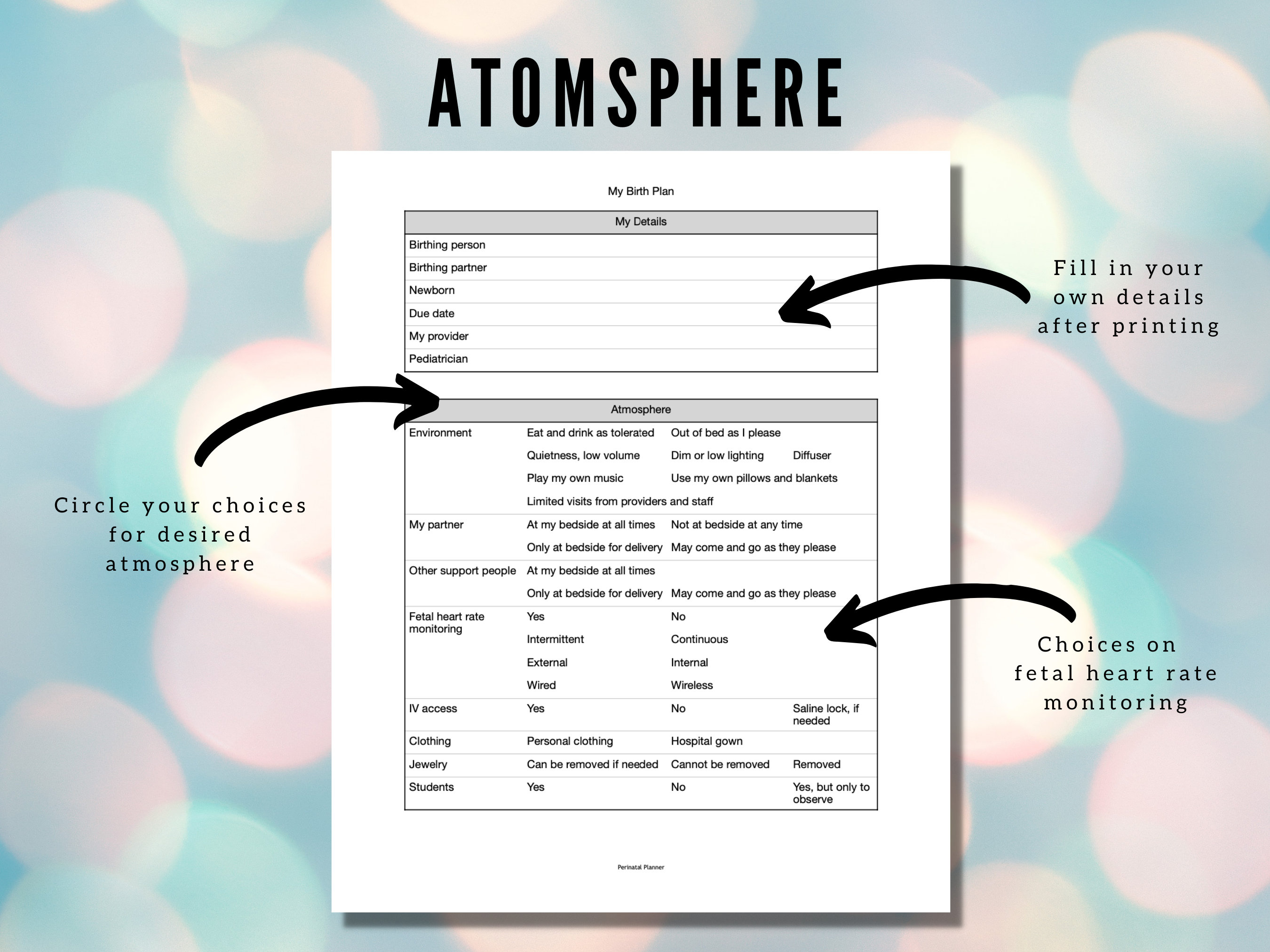Inclusive Birth Plan Template, Every Body's Birth Plan, Gender Neutral ...